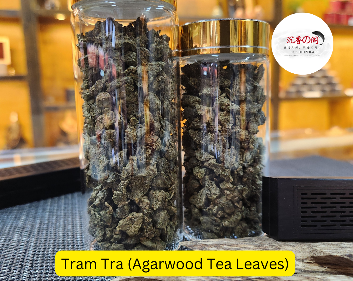 Agarwood Tea: A Journey Through Time and Flavor - Agarwood Pavillion - 沉香の阁